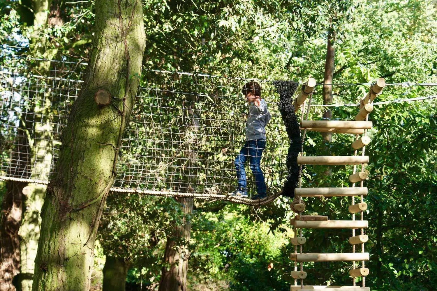 Family Play and Adventure Treetop Walkway | Treehouse Life