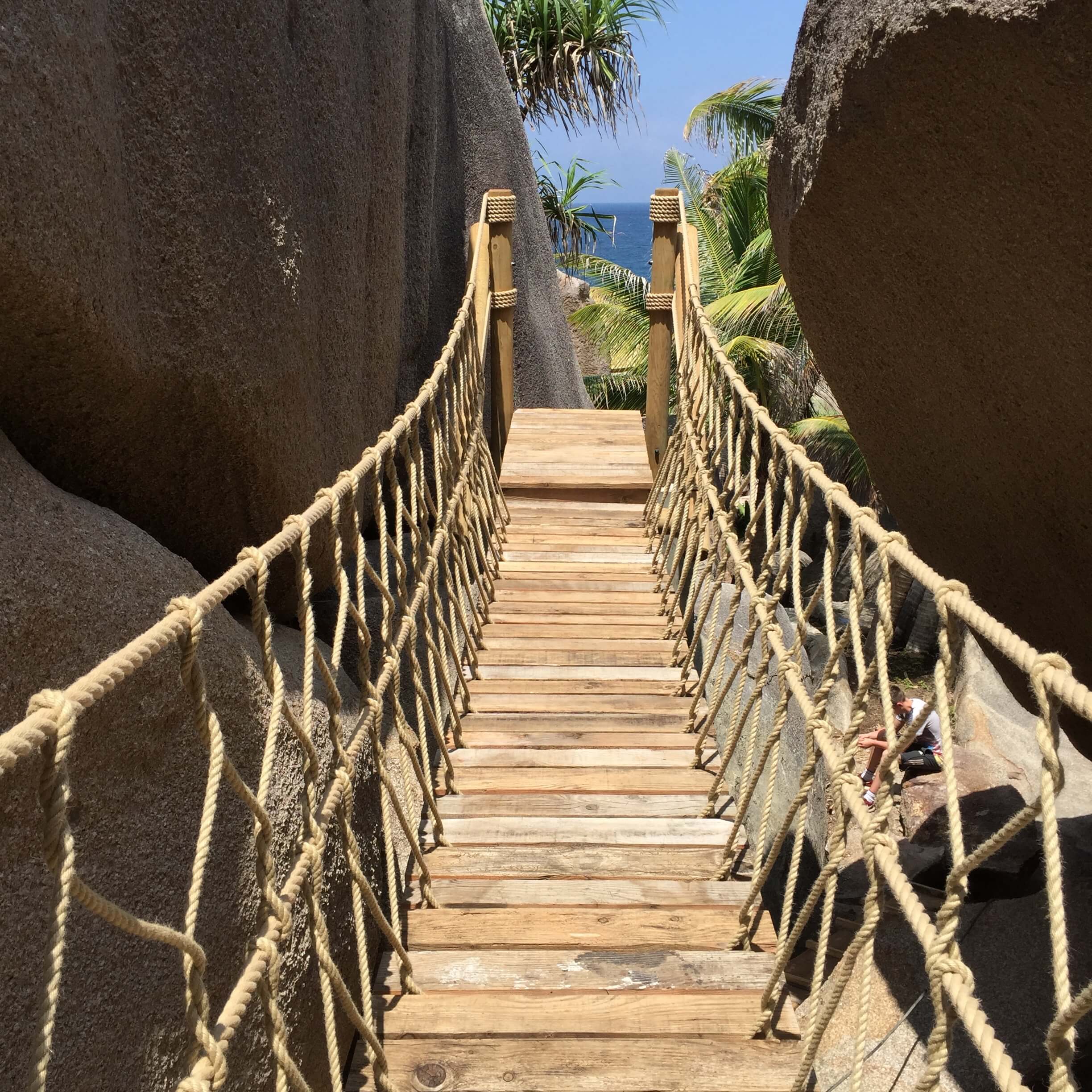 "Rope Bridge in the Seychelles" Treehouse Life Testimonials