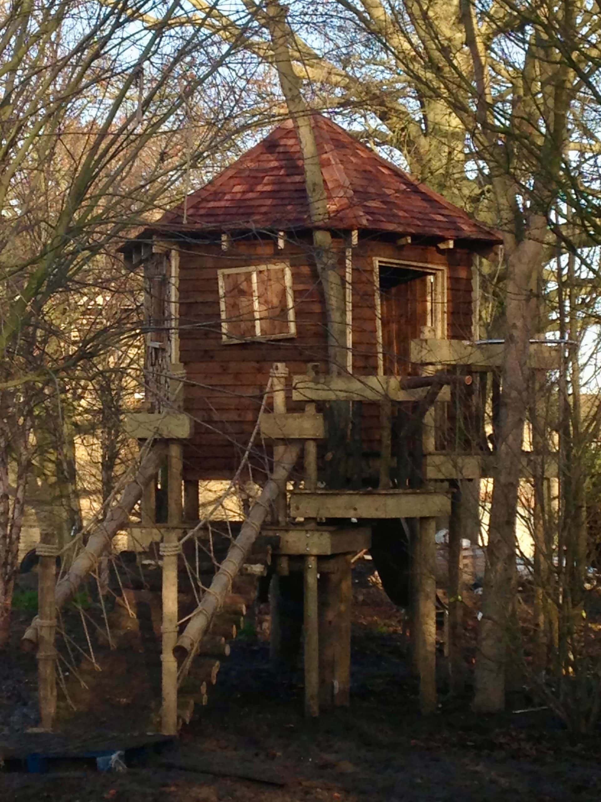 "I couldn't recommend more highly" Treehouse Life Testimonials