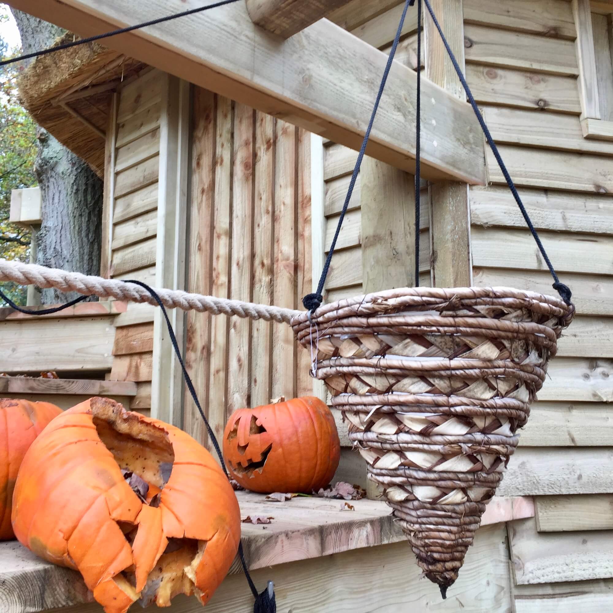Picnic Basket and Pulley for pulling up treehouse snacks