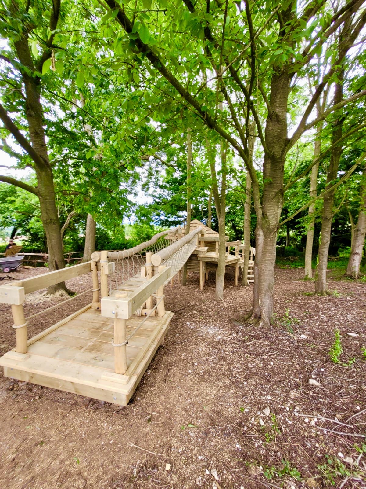 School Play-Time Experience Creators Worldwide | Treehouse Life