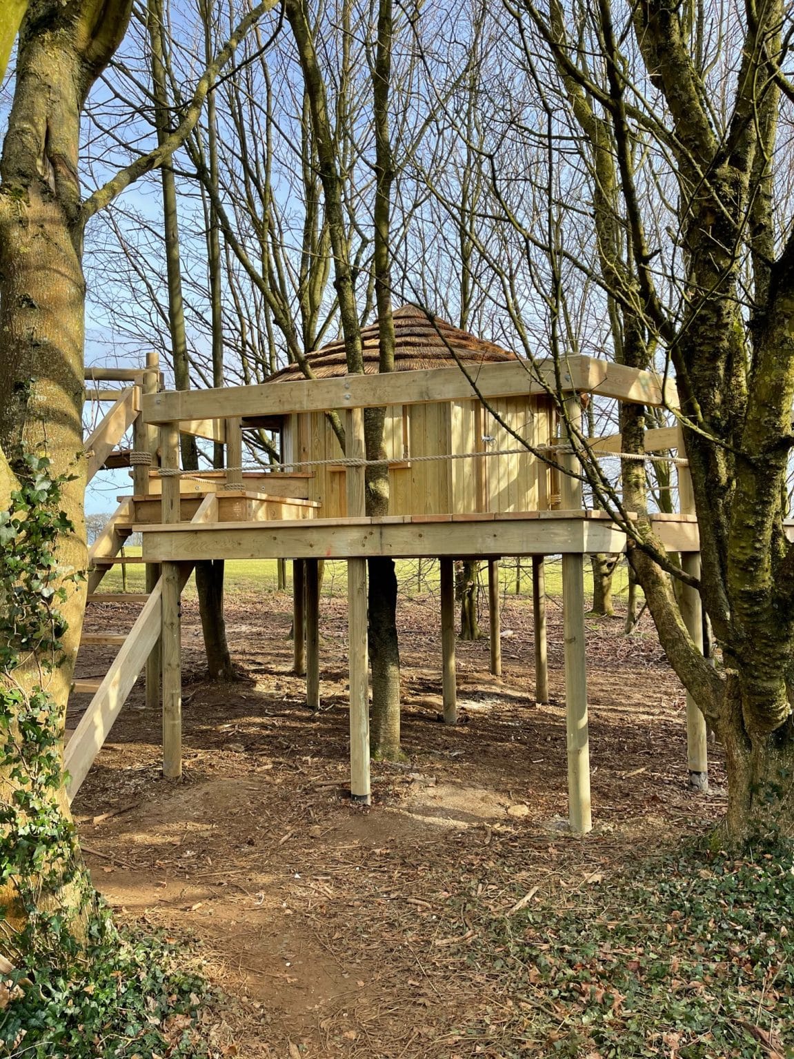 Woodland Oasis Treehouse - Oxford | Treehouse Life
