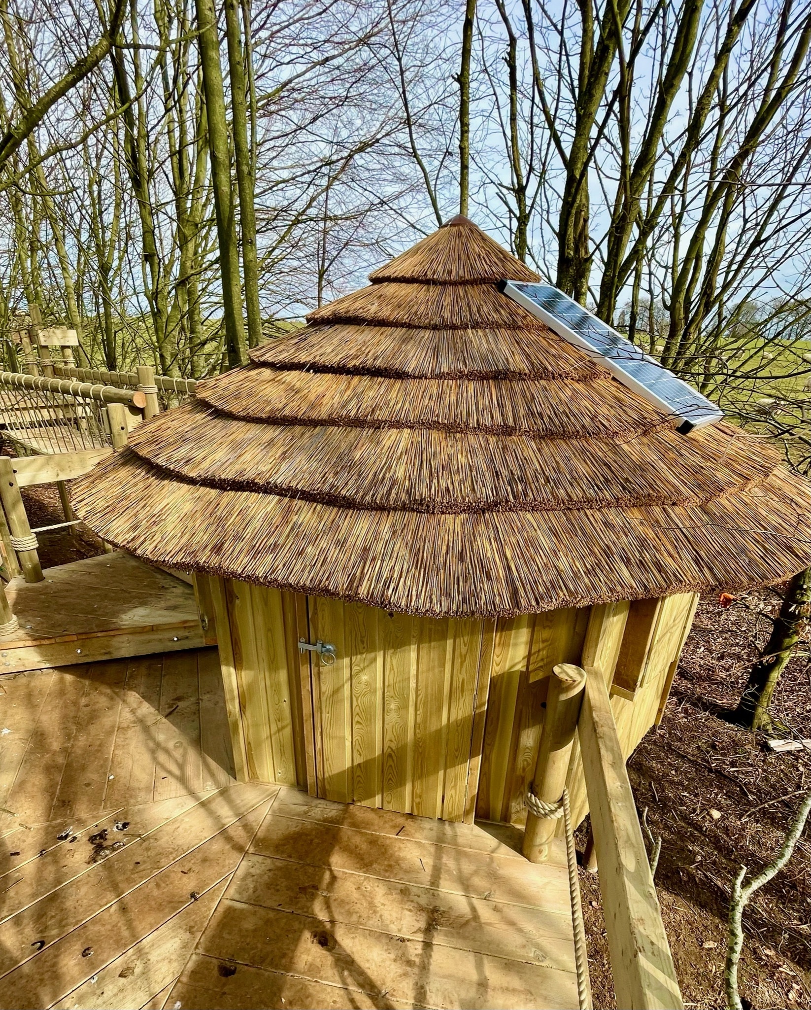 Woodland Oasis Treehouse - Oxford | Treehouse Life