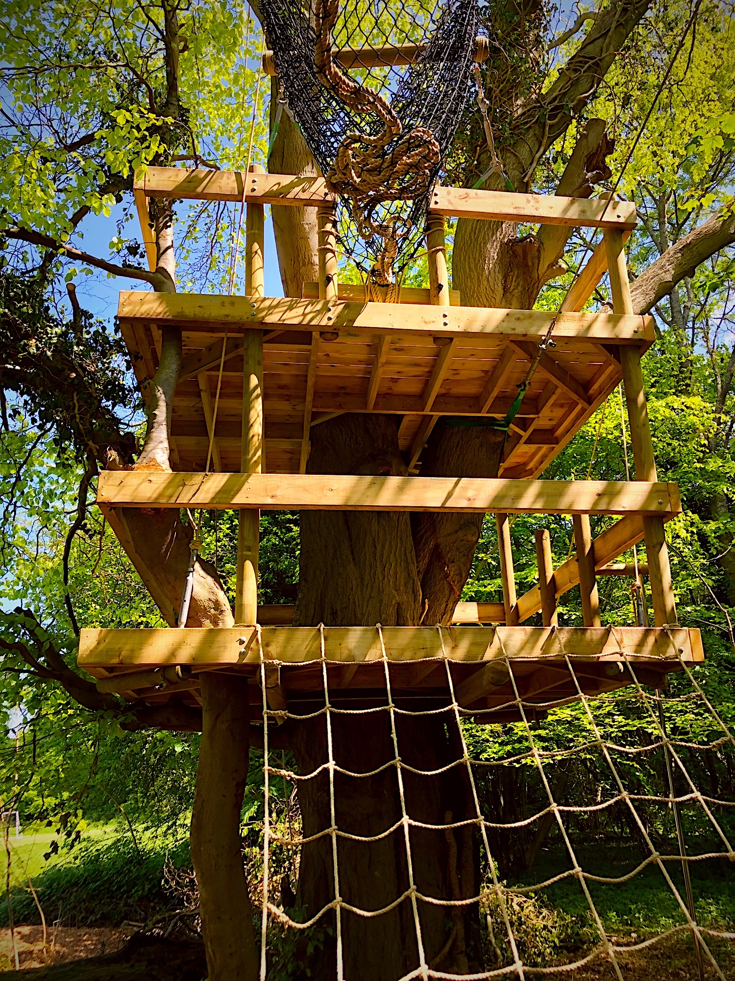 Double Tree Deck, Effingham, Surrey | Treehouse Life