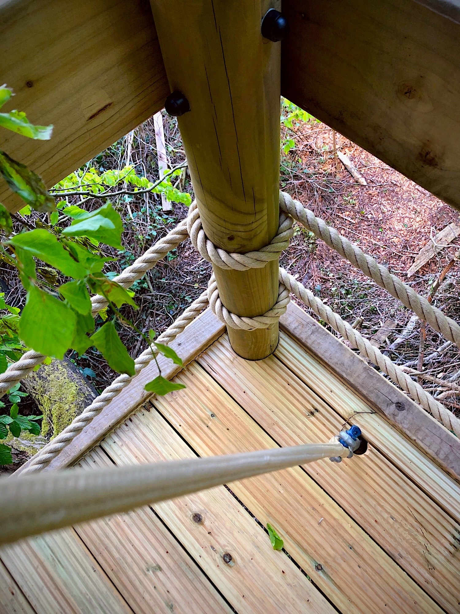 Double Tree Deck, Effingham, Surrey | Treehouse Life