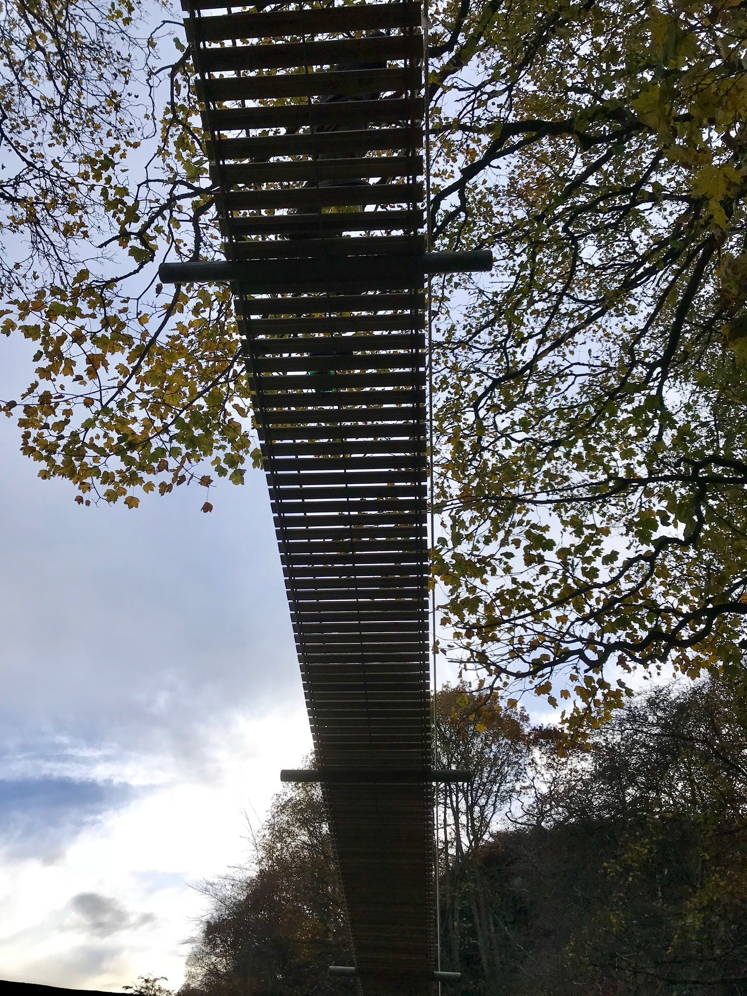 Longest Rope Bridge in UK, Staffordshire | Treehouse Life