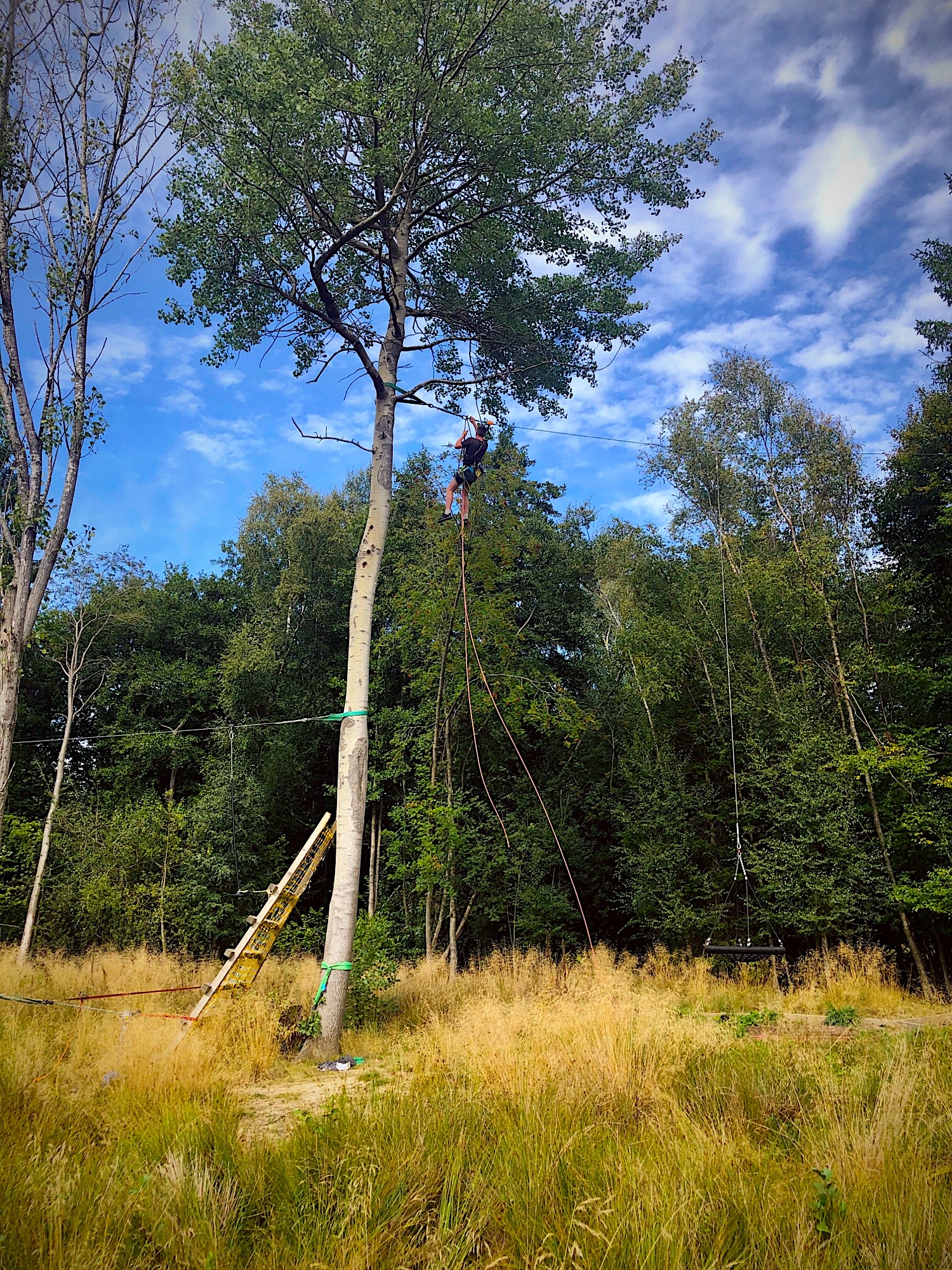 Aerial Playground, UK | Treehouse Life