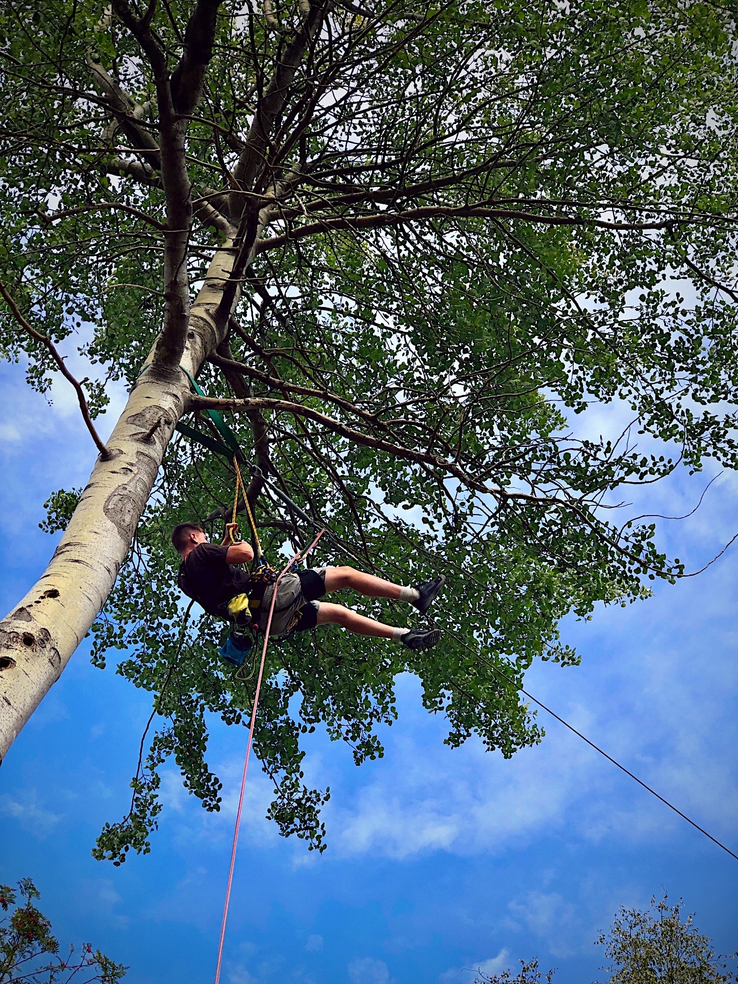 Aerial Playground, UK | Treehouse Life