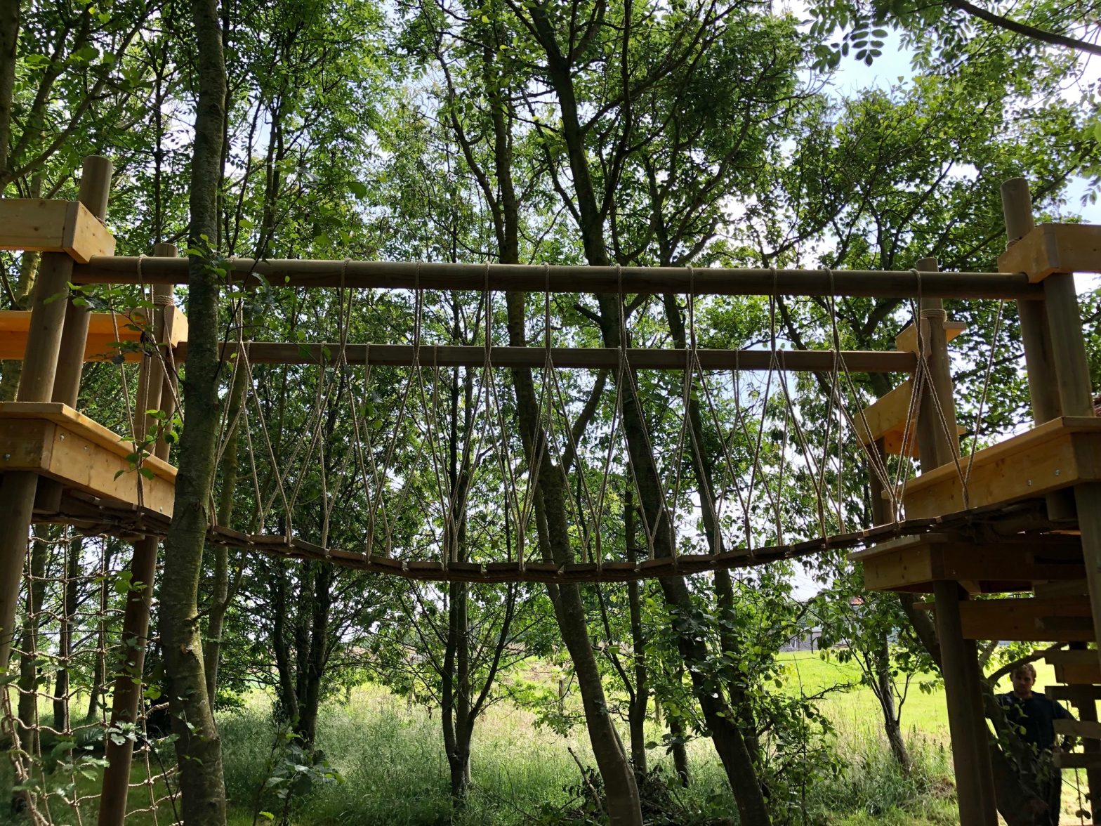 Ultimate Family Treehouse Crail, Fife | Treehouse Life