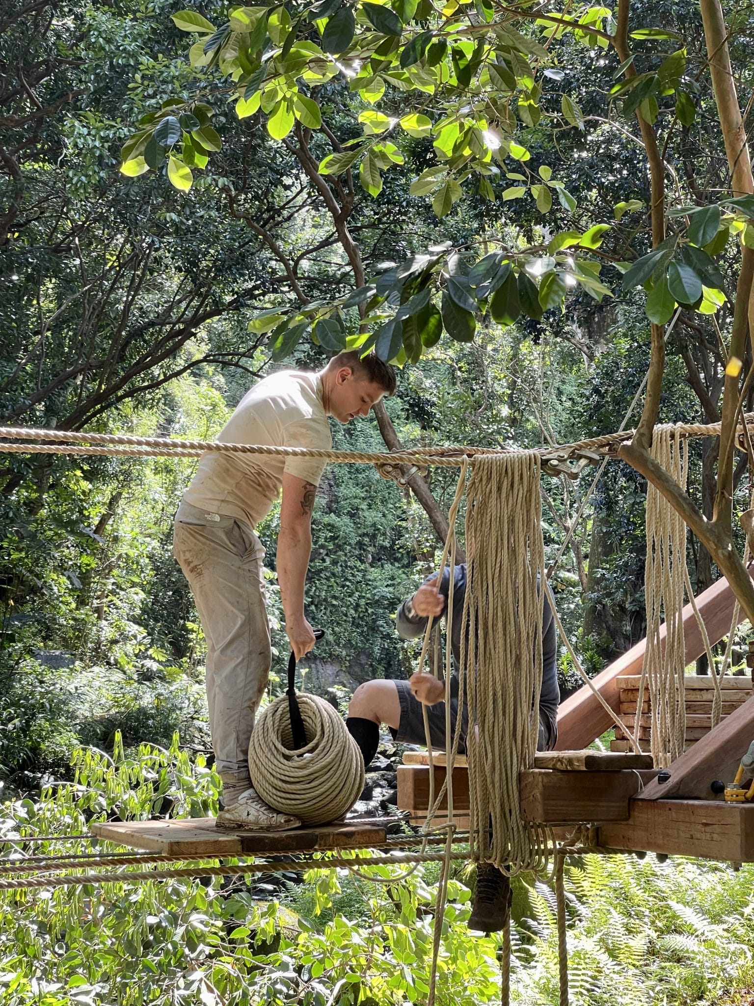 4 Rope Bridges, Luxury Resort, Kauai Island, Hawaii | Treehouse Life
